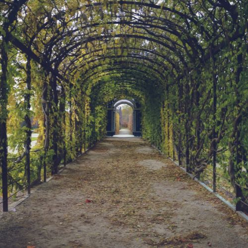 Things to do this weekend near me. Best places and deals with online map.